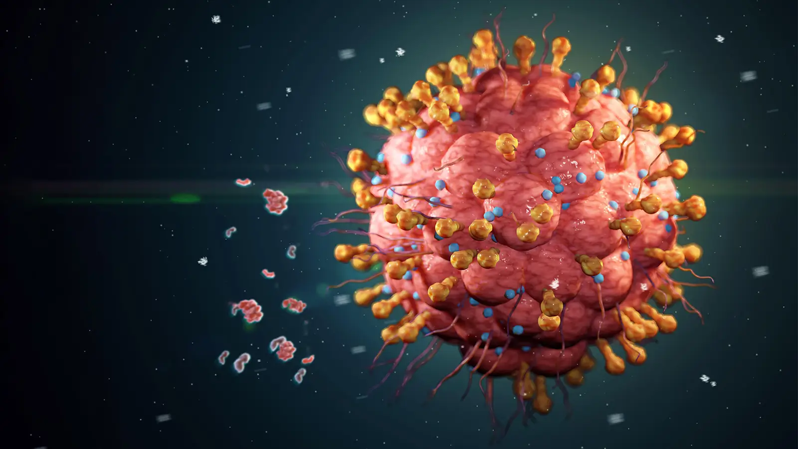 Herpes Simplex Virus Purpose, Result| Lab Test Information