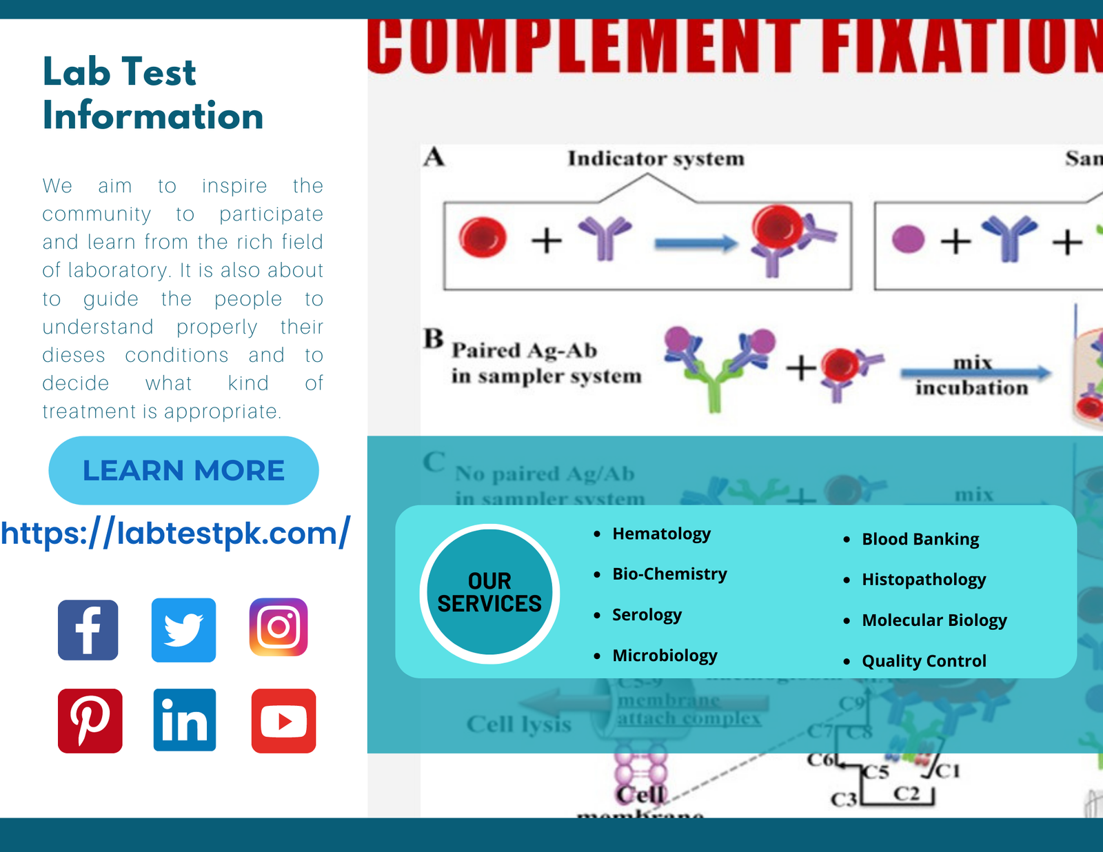 C3 Complement Test Purpose Procedure Lab Test Information