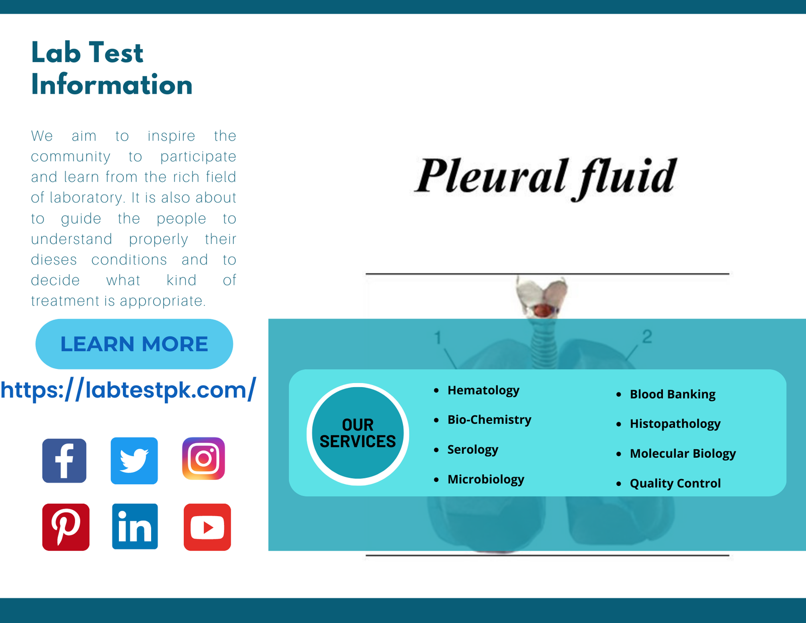 Pleural Fluid Analysis