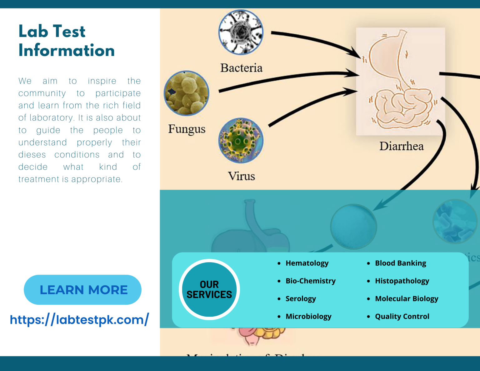 Diarrhea Disease Symptoms, Types, and | Lab Test Information