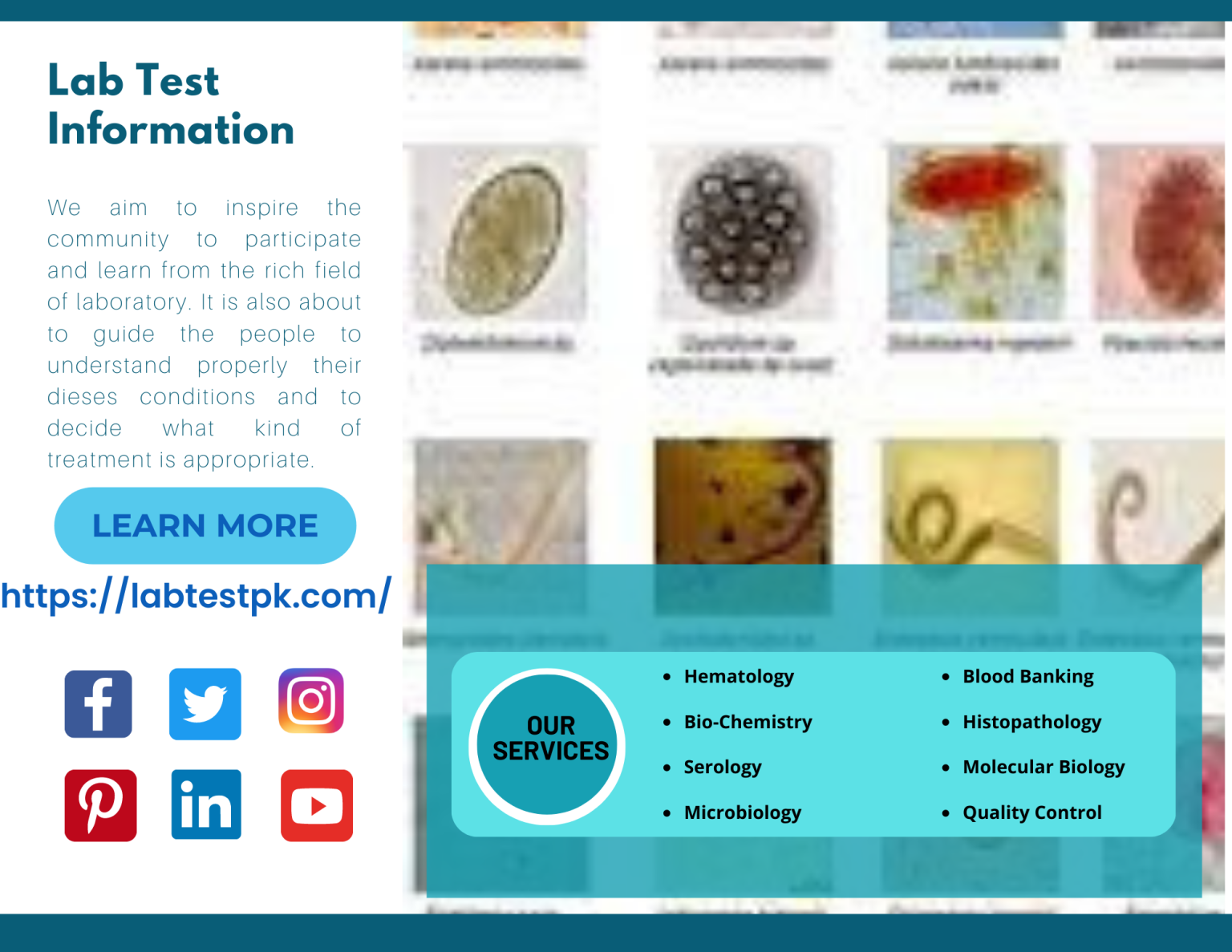 Stool Examination Purpose, Procedure | Lab Test Information