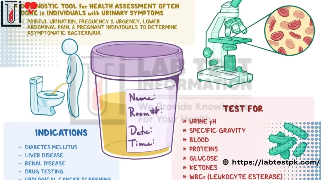 Urine Routine Test Urine Routine Test